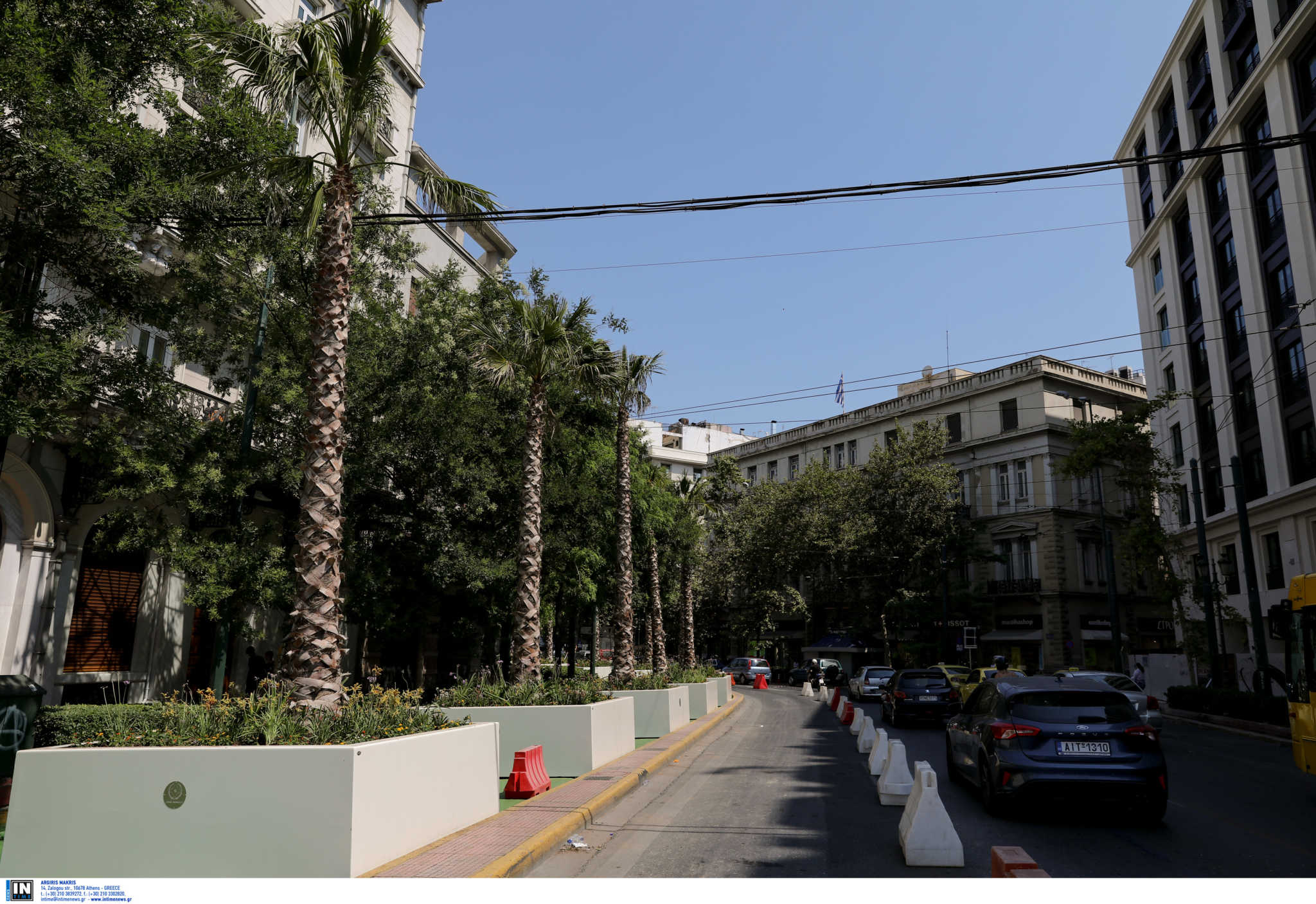 Οι φοίνικες της Ομόνοιας και οι ουασιγκτόνιες της Πανεπιστημίου ...