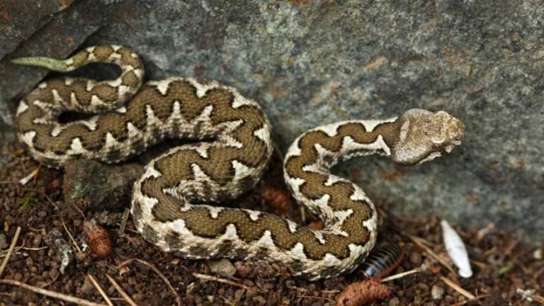 Η σκεπτόμενη Βρετανία αποθέωσε γιατρούς και νοσηλευτές που μάχονται τον ...