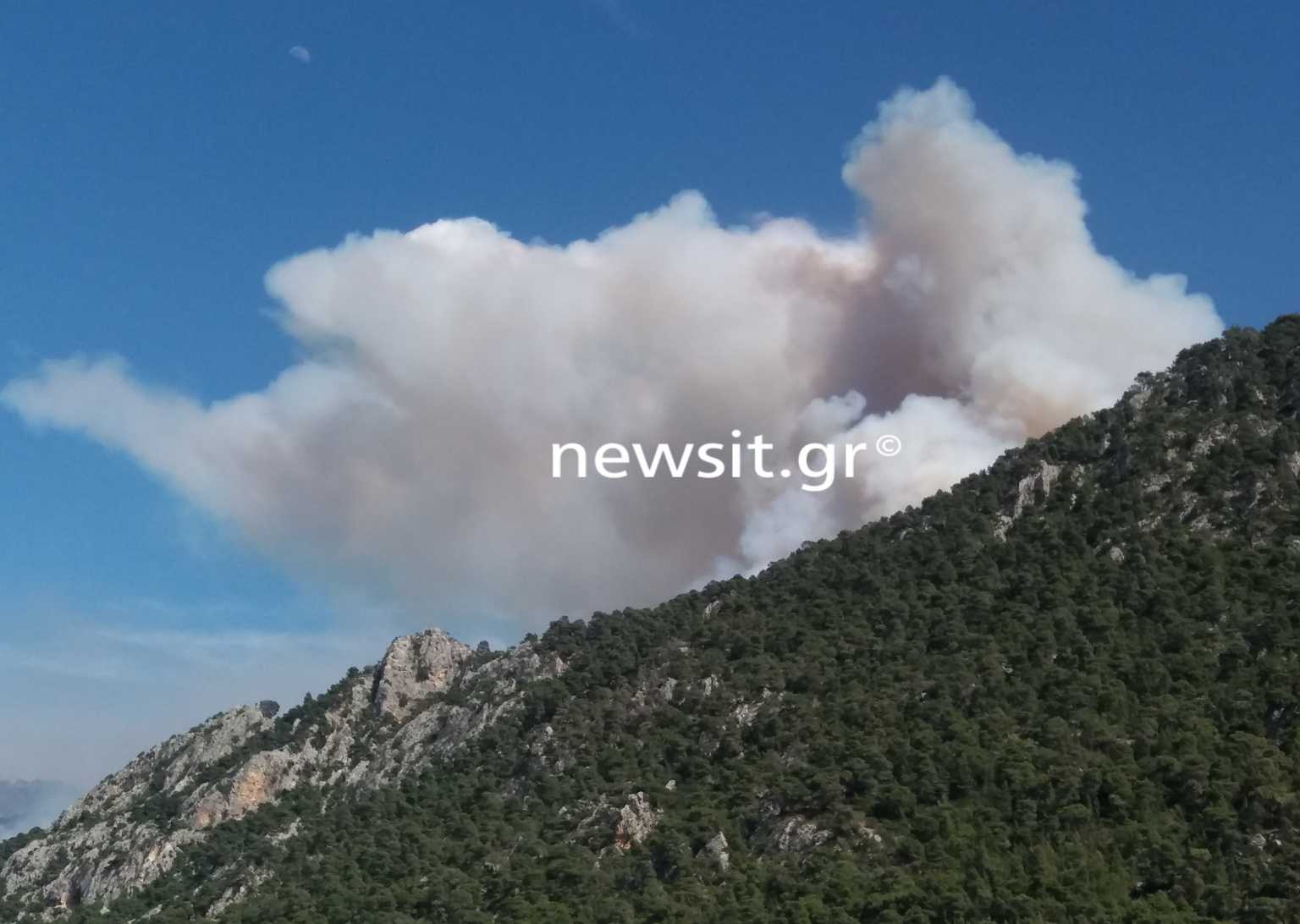 Φωτιά, Σχίνο: Νέα αναζωπύρωση, ισχυροί οι άνεμοι στην περιοχή (φωτό ...