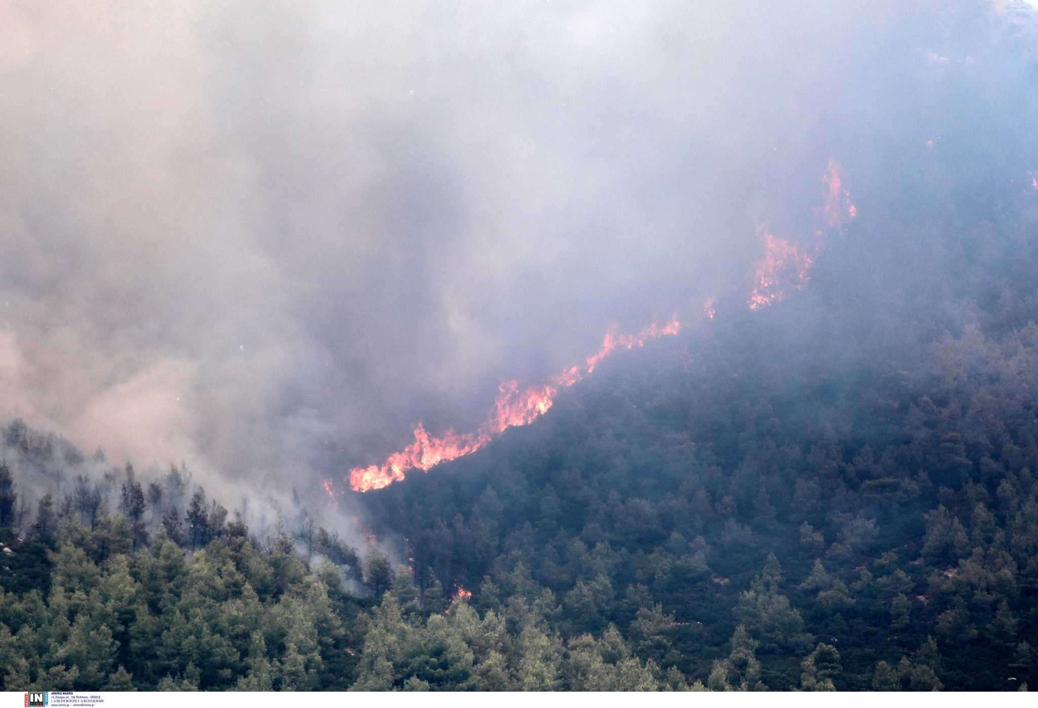 Φωτιά στα Βίλια: Τεράστιο το μέτωπο της πυρκαγιάς, μάχη να μη φτάσει ...