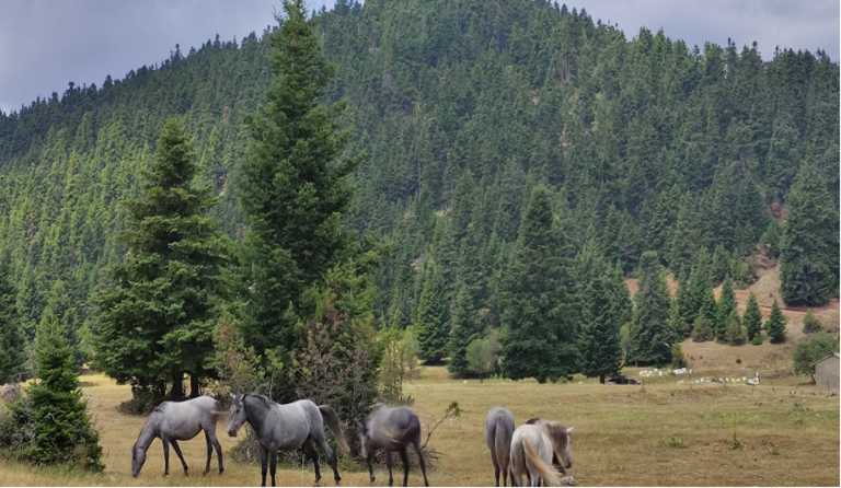 Υπάτη - Οίτη - Παύλιανη: Εναλλακτικές μορφές τουρισμού με πλήθος επιλογών