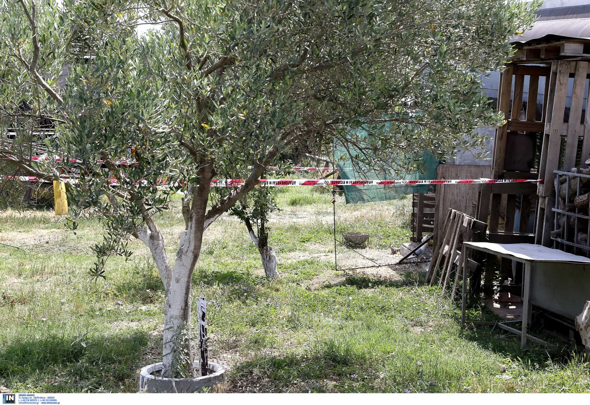 Θεσσαλονίκη: Αποζημίωση 400.000 ευρώ στην οικογένεια του 14χρονου που ...