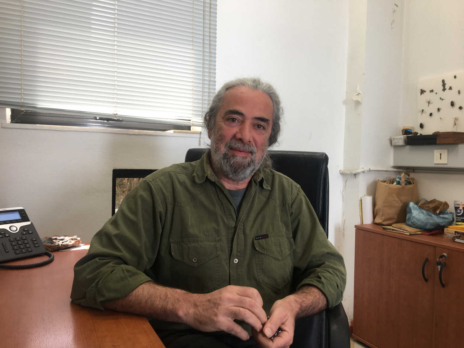Κρήτη: Ο κρητικός αγριόγατος μέσα από φωτογραφικές «παγίδες»