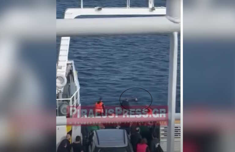 Ανθρωπος στη θάλασσα στο στενό ανάμεσα σε Πέραμα και Σαλαμίνα | mykosmos.gr