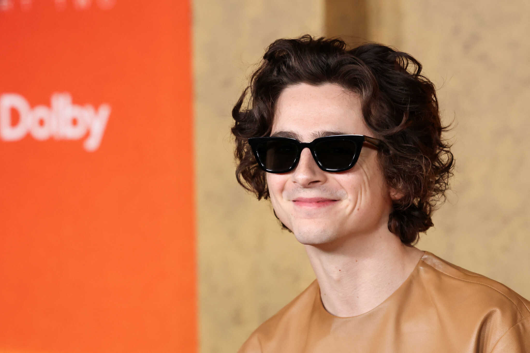 Ο Τιμοτέ Σαλαμέ ως Μπομπ Ντίλαν: Τα πρώτα πλάνα από την ταινία «A ...