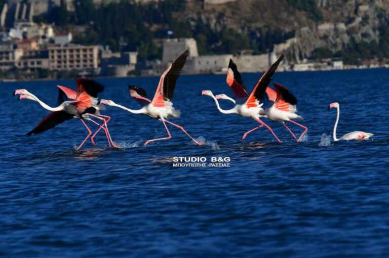 Θεσσαλονίκη: Πτώση θανάτου από τον 7ο όροφο πολυκατοικίας - Οι πρώτες ...