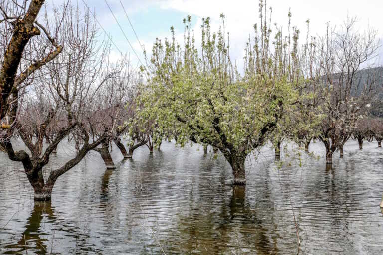 Εκλογές 2023: Αυτό είναι το πρόγραμμα του ΣΥΡΙΖΑ