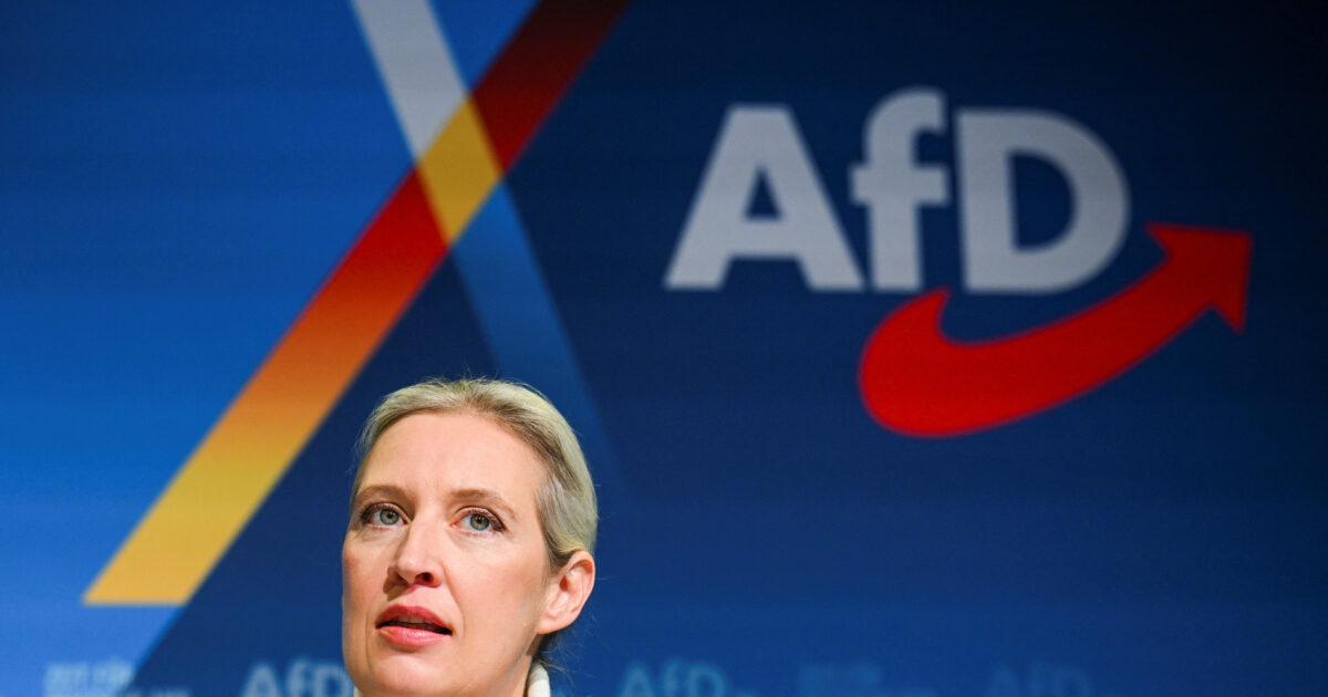 Γερμανία: Ο Έλον Μάσκ, το AfD και το σενάριο αποτροπής κρίσιμων ...