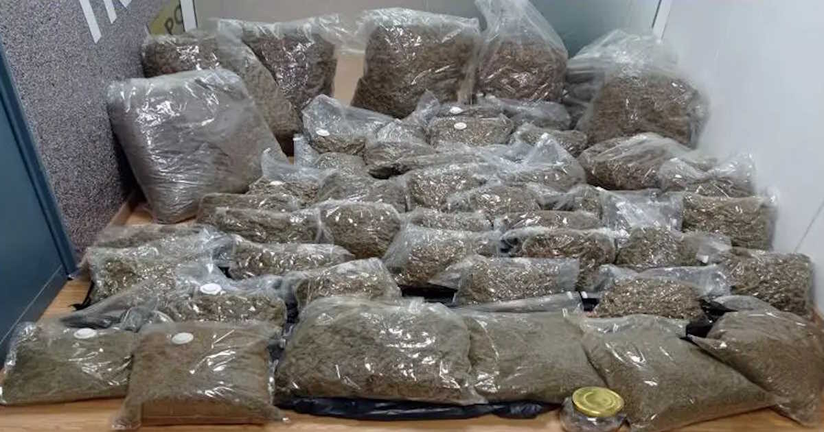 Καλλιεργούσαν 120 κιλά κάνναβης σε σπίτια - εργαστήρια ναρκωτικών στην ...