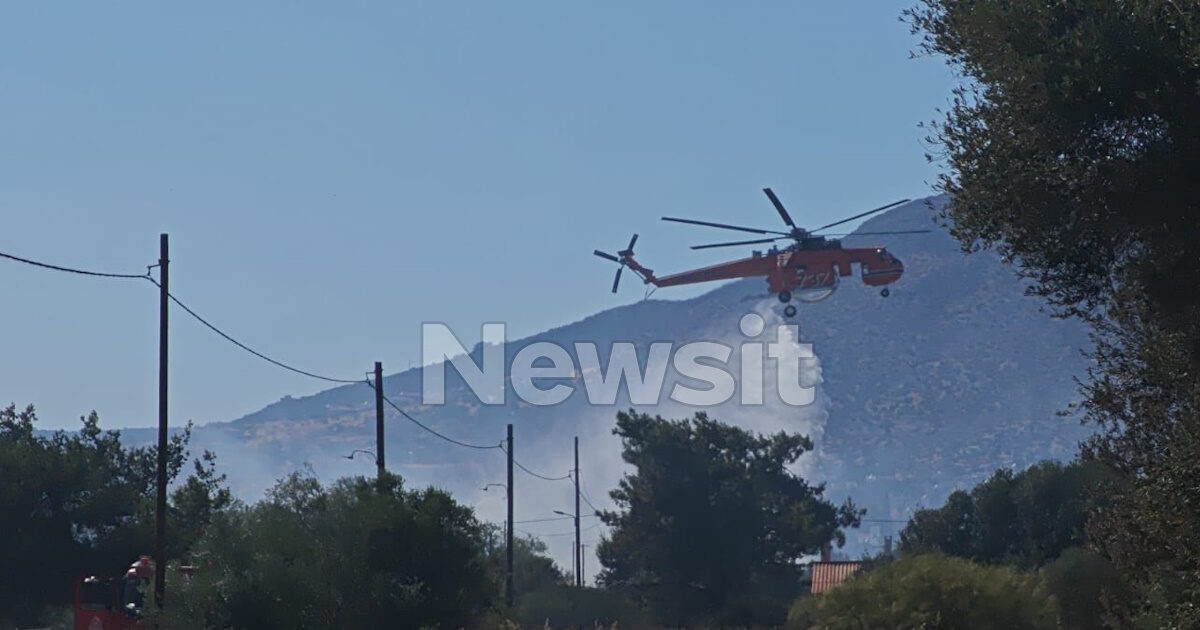 Φωτιά στην Ανάβυσσο: Μάχη με διάσπαρτες εστίες δίνουν οι πυροσβέστες ...