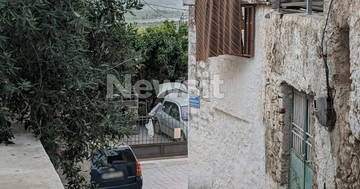 Μεσσηνία: 8 φορές είχε νοσηλευτεί στο ψυχιατρείο ο 61χρονος που έσφαξε ...