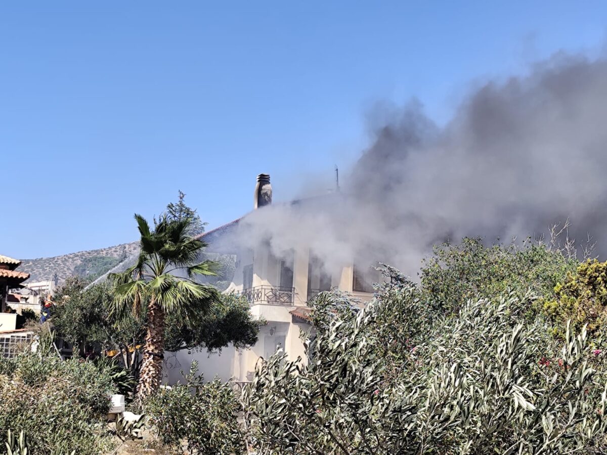 Καλύτερη η εικόνα της πυρκαγιάς στην Παλαιά Φώκαια – Κάηκαν σπίτια και ...