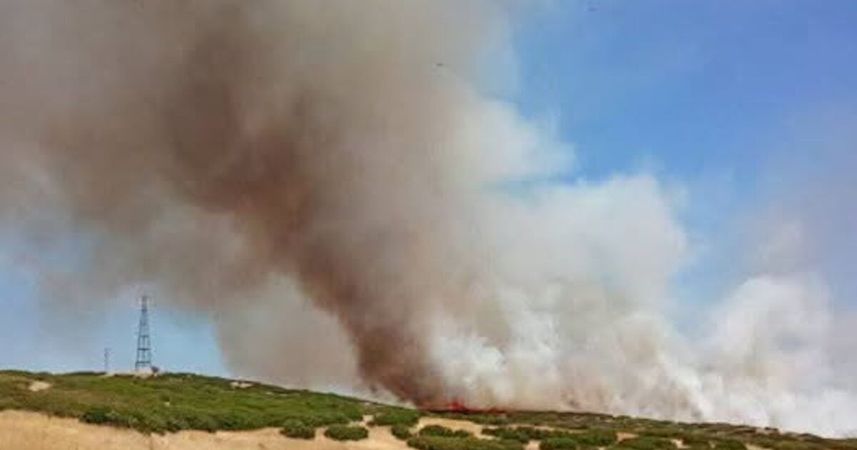 Φωτιά στην Λάρισα στην περιοχή των Φαρσάλων: Επιχειρούν εναέρια μέσα - Ήχησε το 112 «παραμείνετε ...