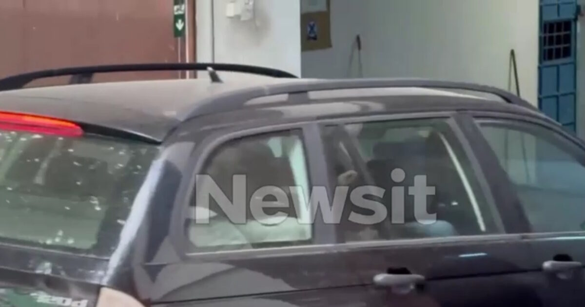 Διπλή δολοφονία στην Φοινικούντα: Στα δικαστήρια Καλαμάτας οι δύο ...