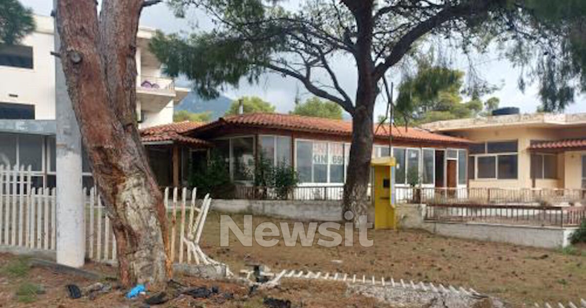 Μενίδι: Νεκρός ο οδηγός που καρφώθηκε με το αυτοκίνητό του σε δέντρο