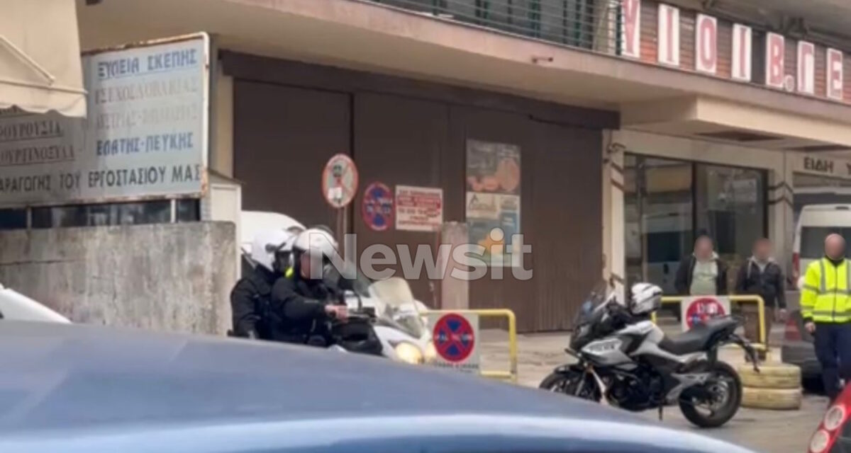 Σέρρες: 17χρονος βρέθηκε νεκρός στο υπόγειο του σπιτιού του μετά από ...
