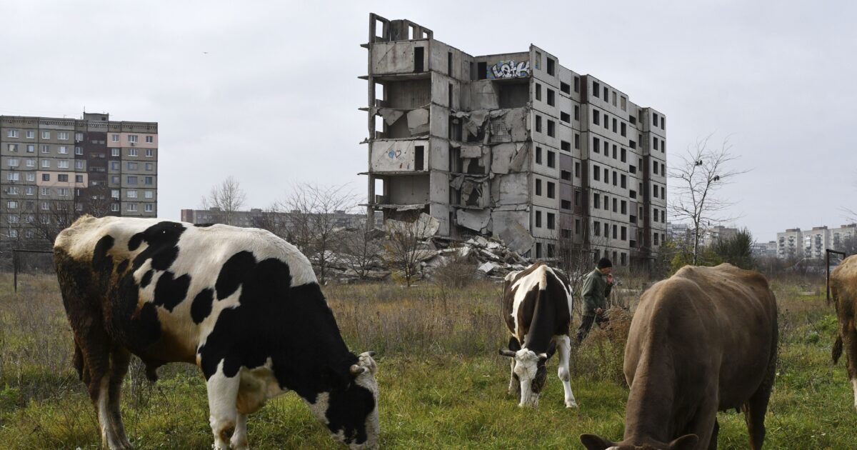 Ρώσος κτηνίατρος που σχετιζόταν με μαζικές σφαγές βοοειδών βρέθηκε ...