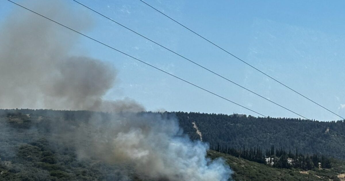 Υπό έλεγχο η φωτιά στα Πεύκα Θεσσαλονίκης - Ήχησε το 112