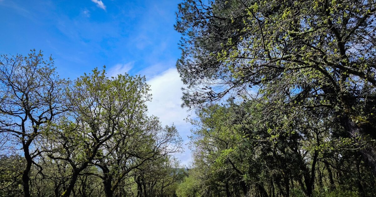 Καιρός αύριο: Άνοδος της θερμοκρασίας αλλά και τοπικές βροχές